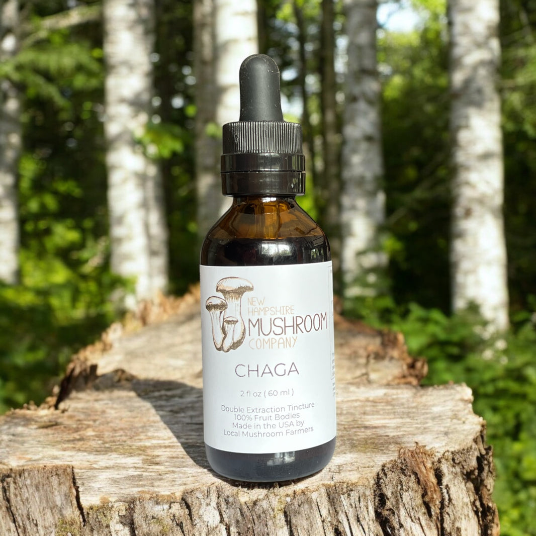 Mushroom Tinctures & Capsules | Locally Made in New Hampshire – New ...